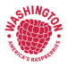 Raspberries 101 - Washington Red Raspberries