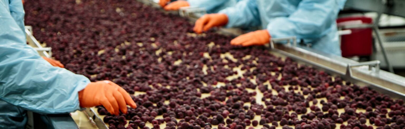 Food Safety - Washington Red Raspberries